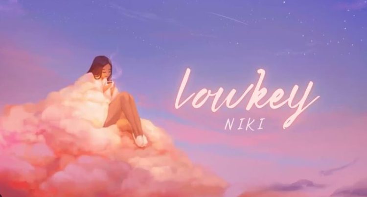 Lowkey là gì? Sống lowkey nghĩa là gì? - VZNEW